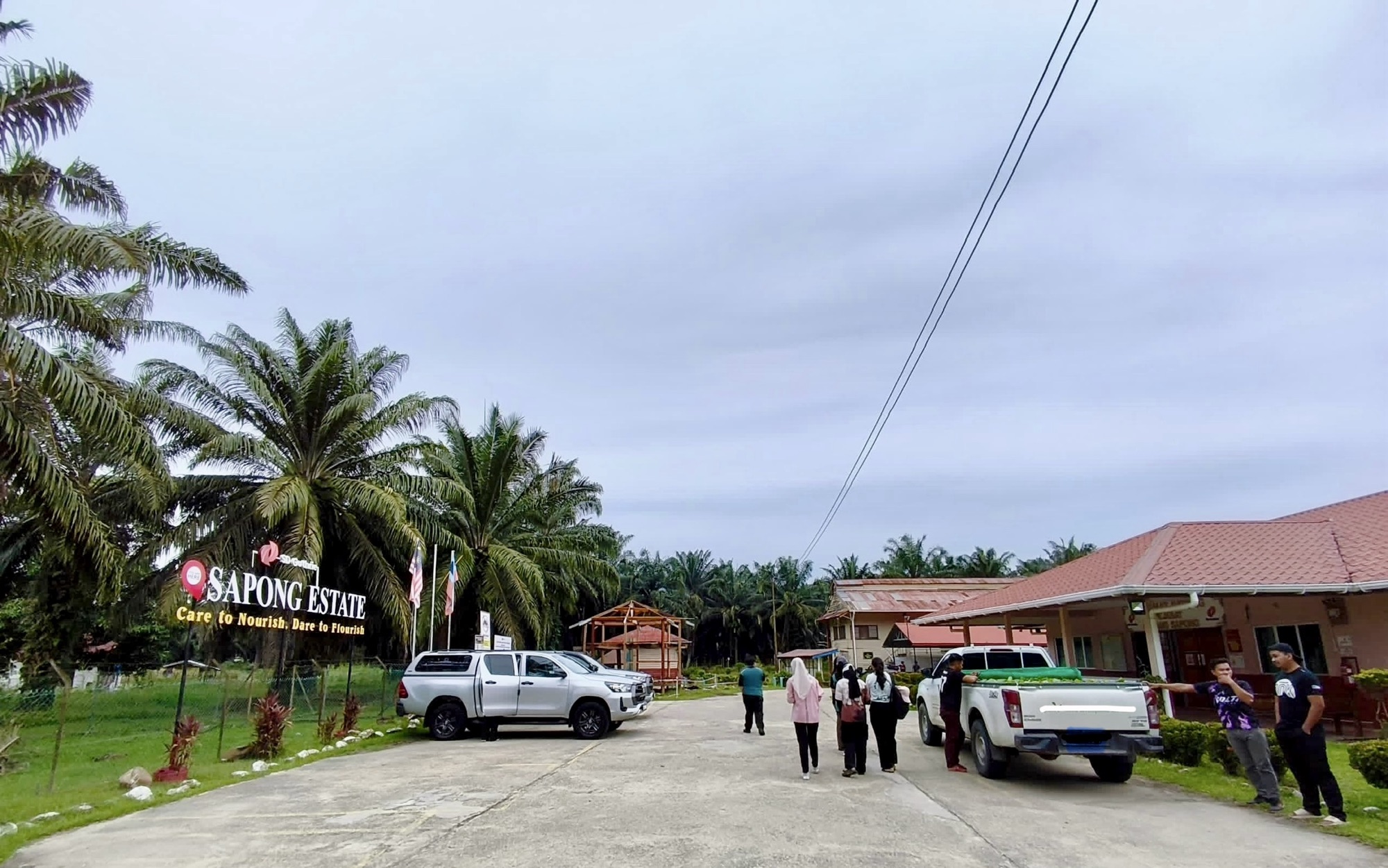Restoration of Forest Biodiversity at Sapong Estate, Tenom – Elia Godoong